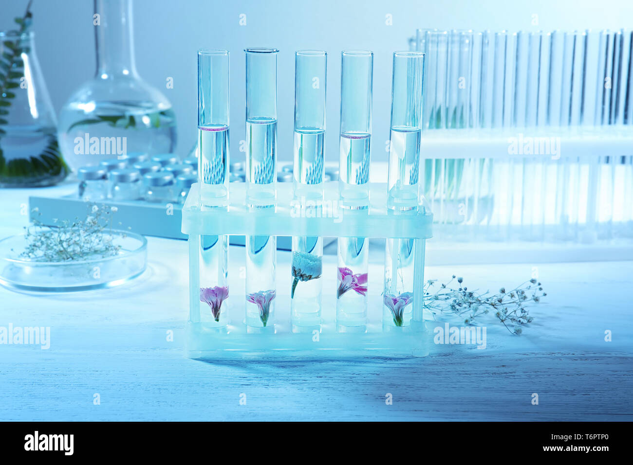 Test tubes with flowers in rack on table Stock Photo - Alamy