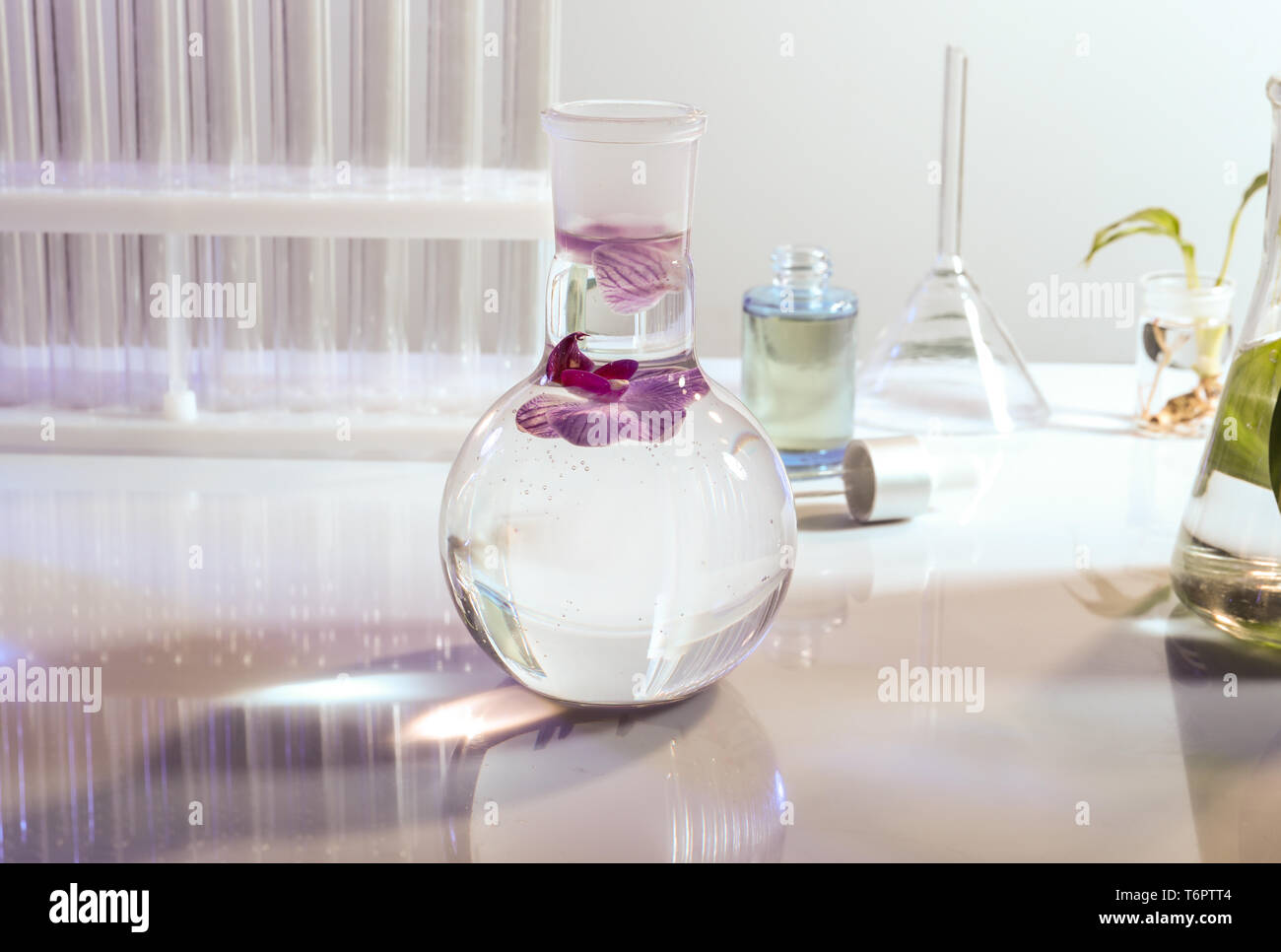 Test tube flower nobody hi-res stock photography and images - Alamy