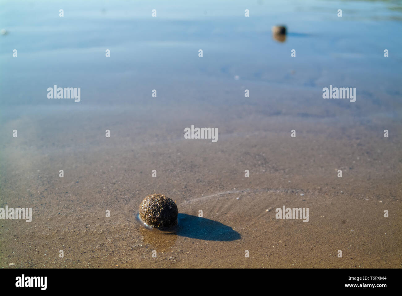 Geometric shape ball on the beach sand immerged in a crystal clear pure ...