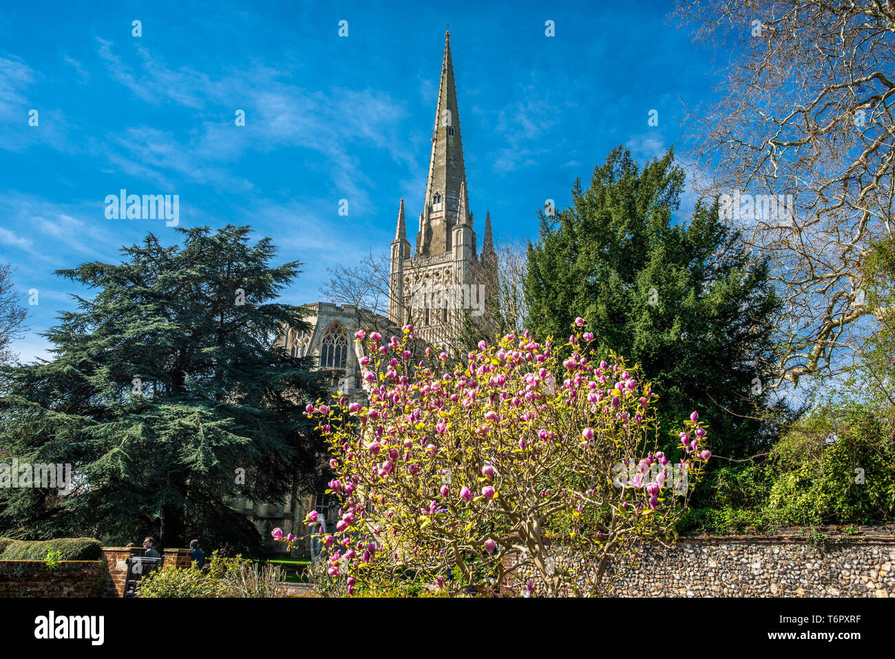 Norwich cathedral hi-res stock photography and images - Alamy