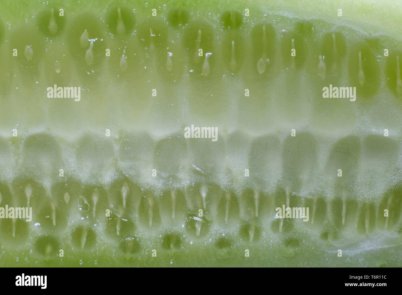 Extreme macro shot of a sliced cucumber showing the structure of the ...