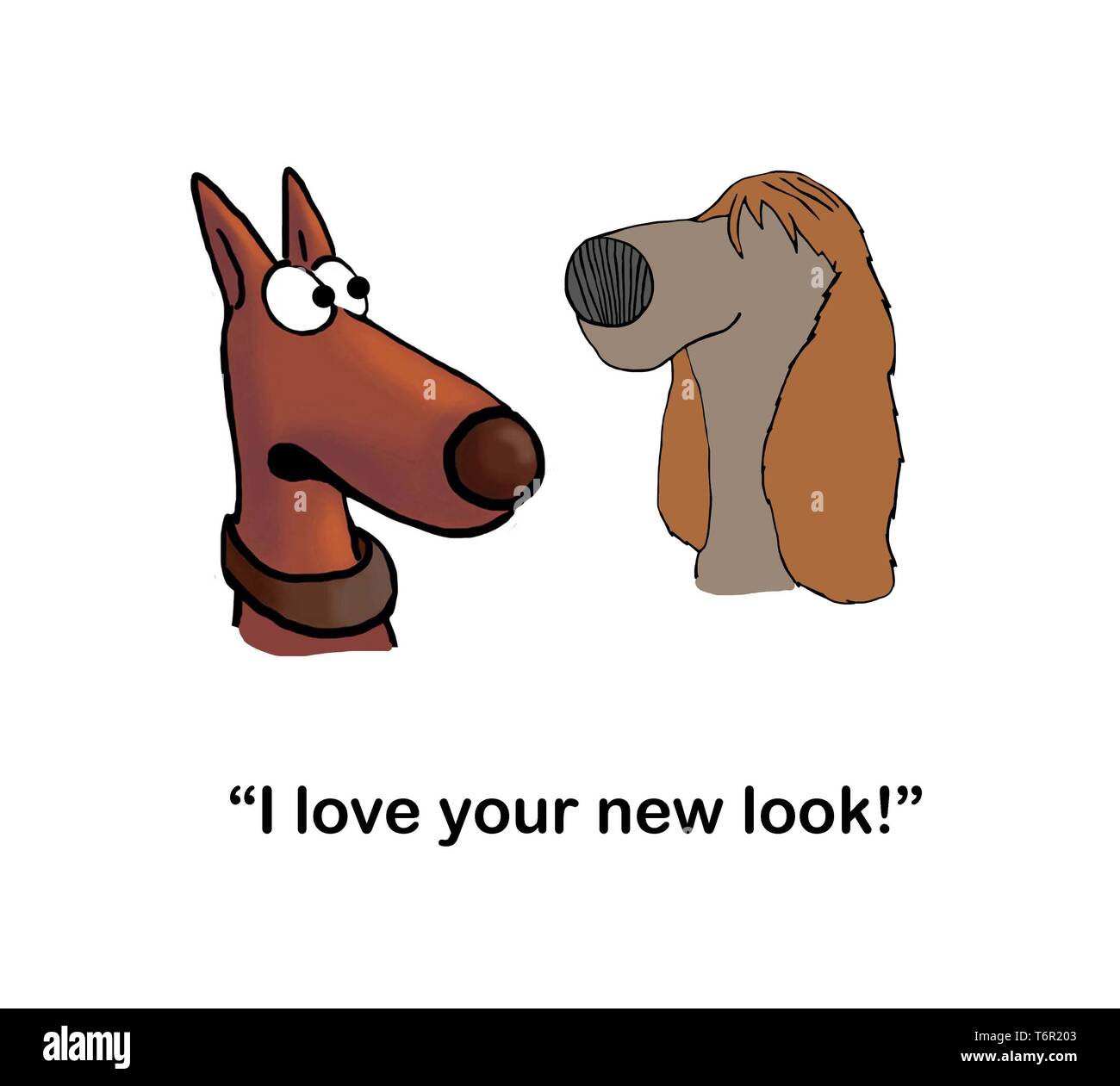 The new look Cut Out Stock Images & Pictures - Alamy