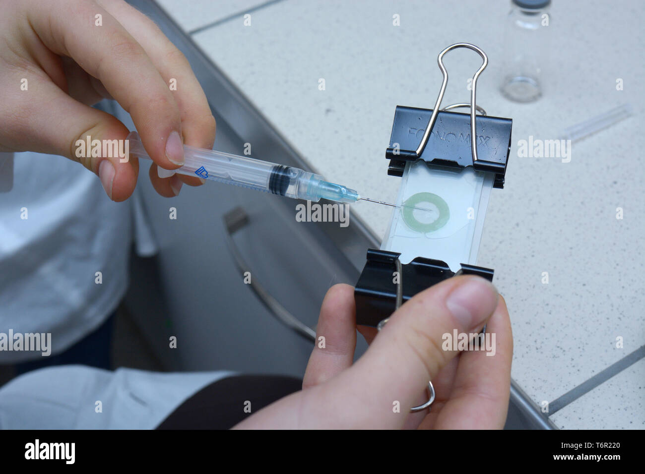 Contact lenses manufacturing. Worker’s hands stuffing form of a lens ...