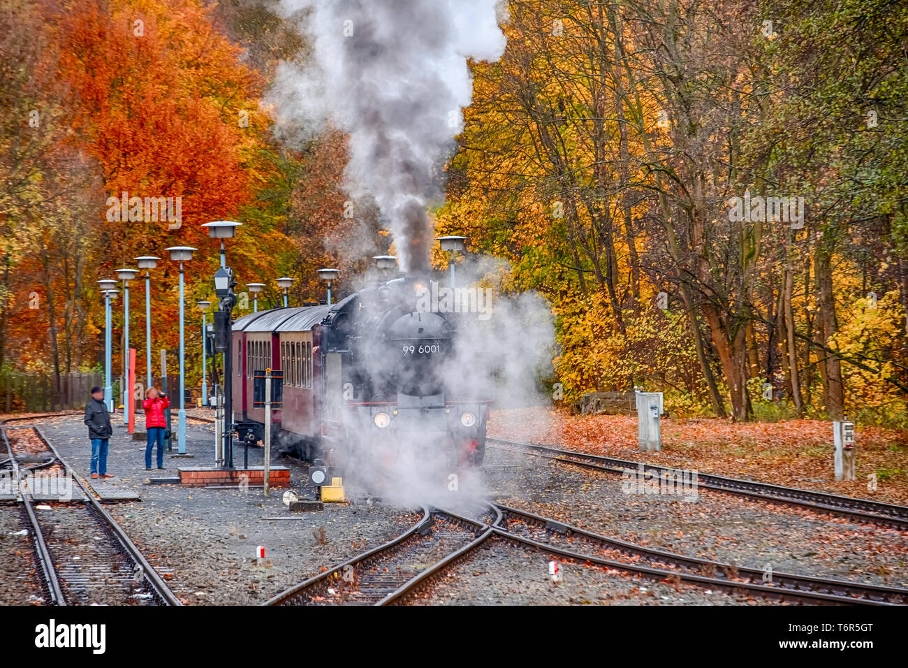 Narrow-Gauge Railway called Harzquerbahn, Selketal, Harz Mountains ...