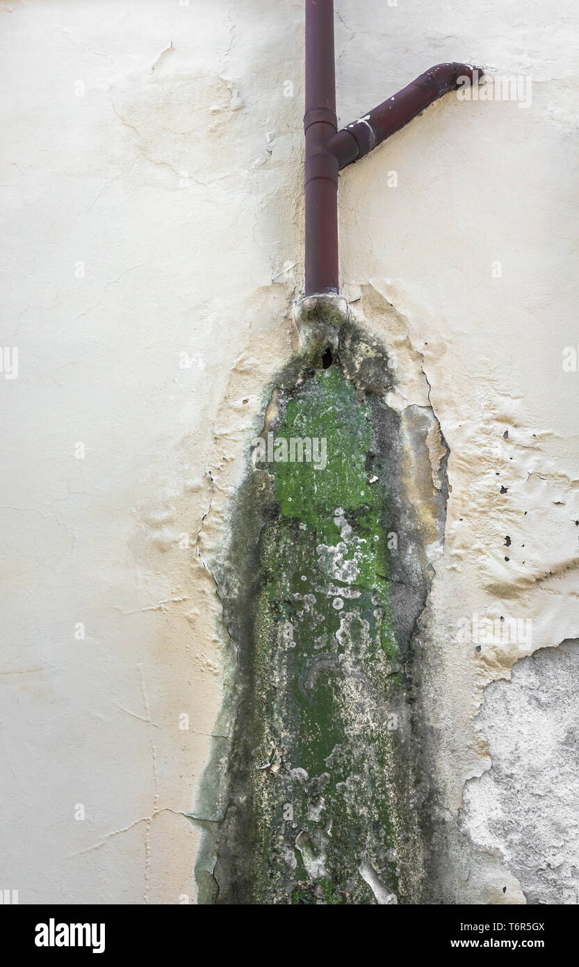 Peeling paint water damage hi-res stock photography and images - Alamy