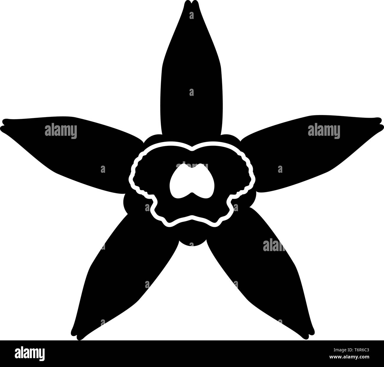 Vanilla flower icon black color vector illustration flat style simple ...