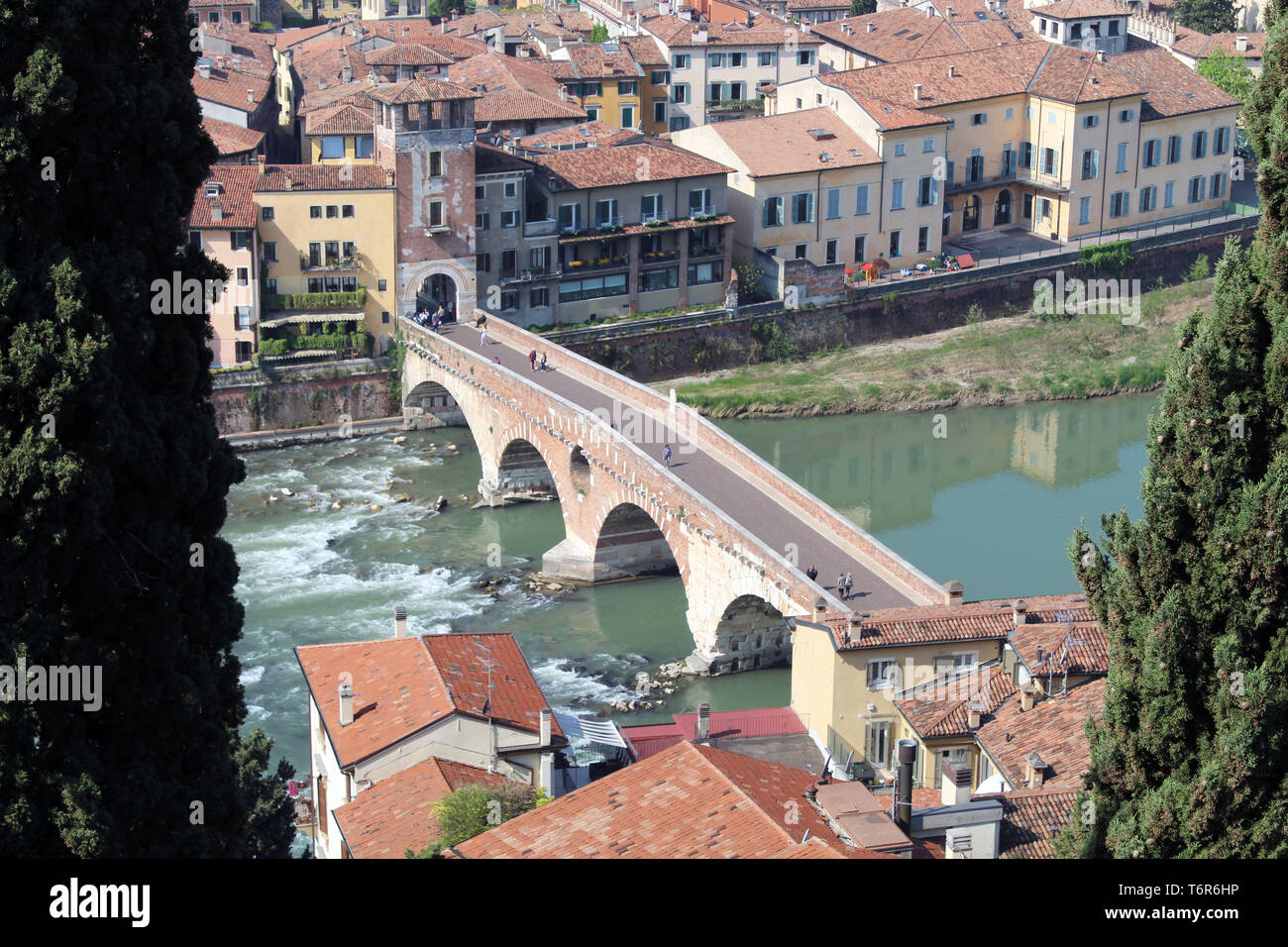 Sky trees and bridges hi-res stock photography and images - Alamy