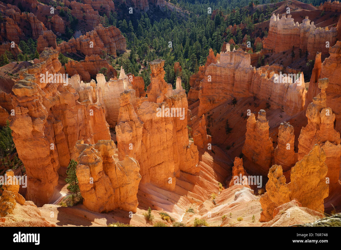 View over Bryce Canyon National Park, Utah, USA Stock Photo - Alamy