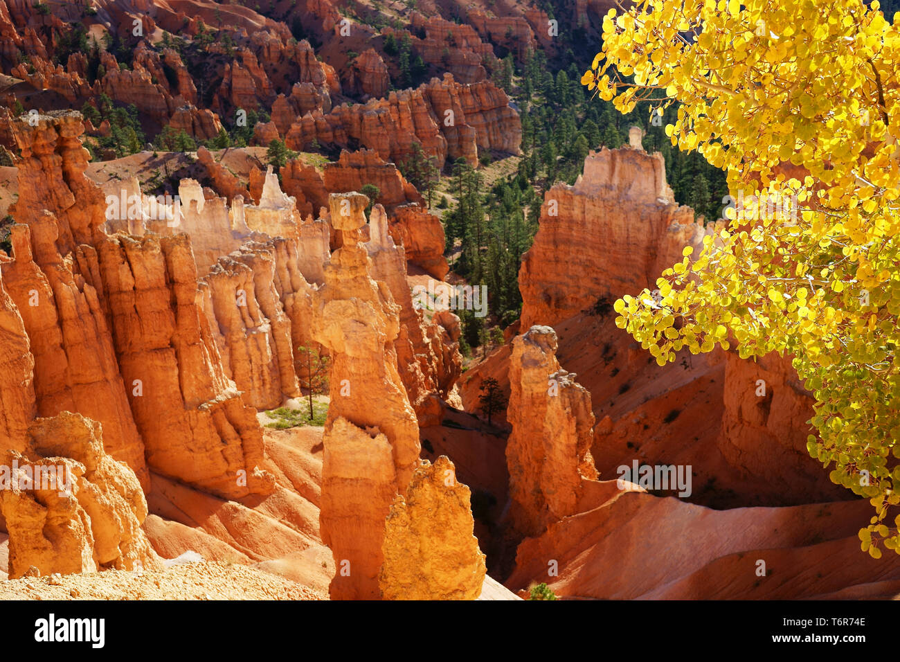 View over Bryce Canyon National Park, beginning Navajo Loop trail with ...