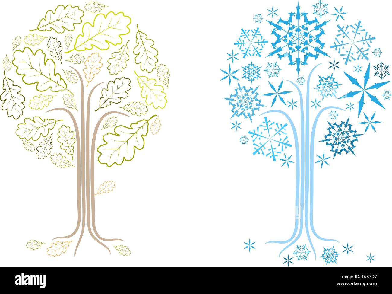 The same vector oak tree in different seasons (summer and winter Stock ...