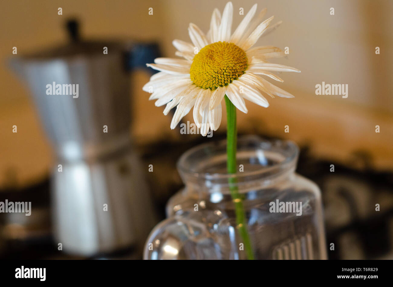 Kitchen coffee pot hi-res stock photography and images - Alamy