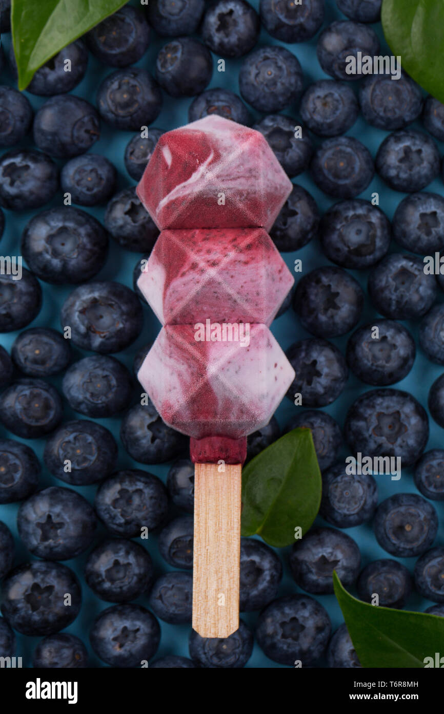Blueberry popsicle. molecular kitchen. ice cream on a stick on ...