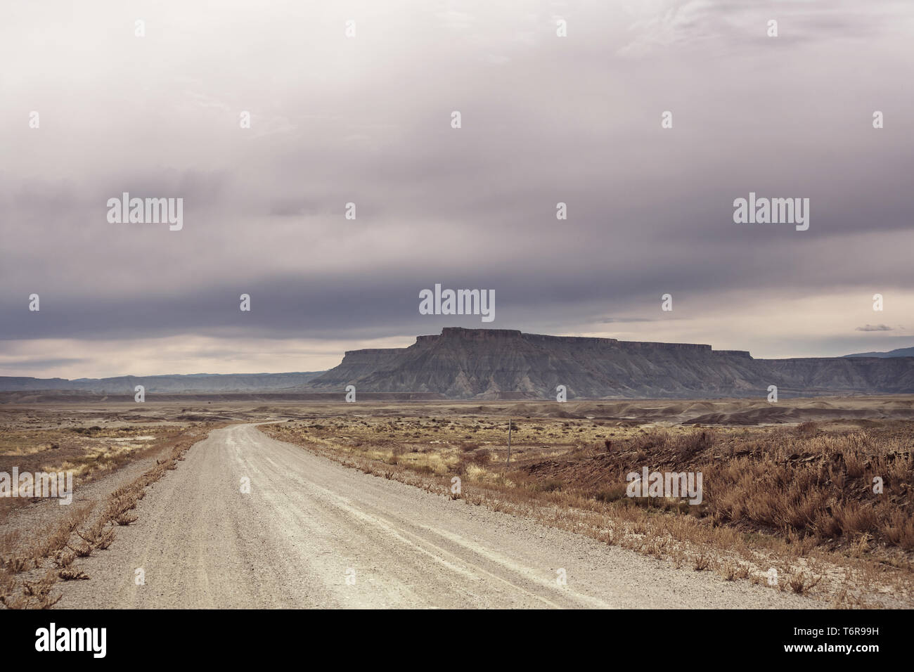 Road in prairie Stock Photo - Alamy