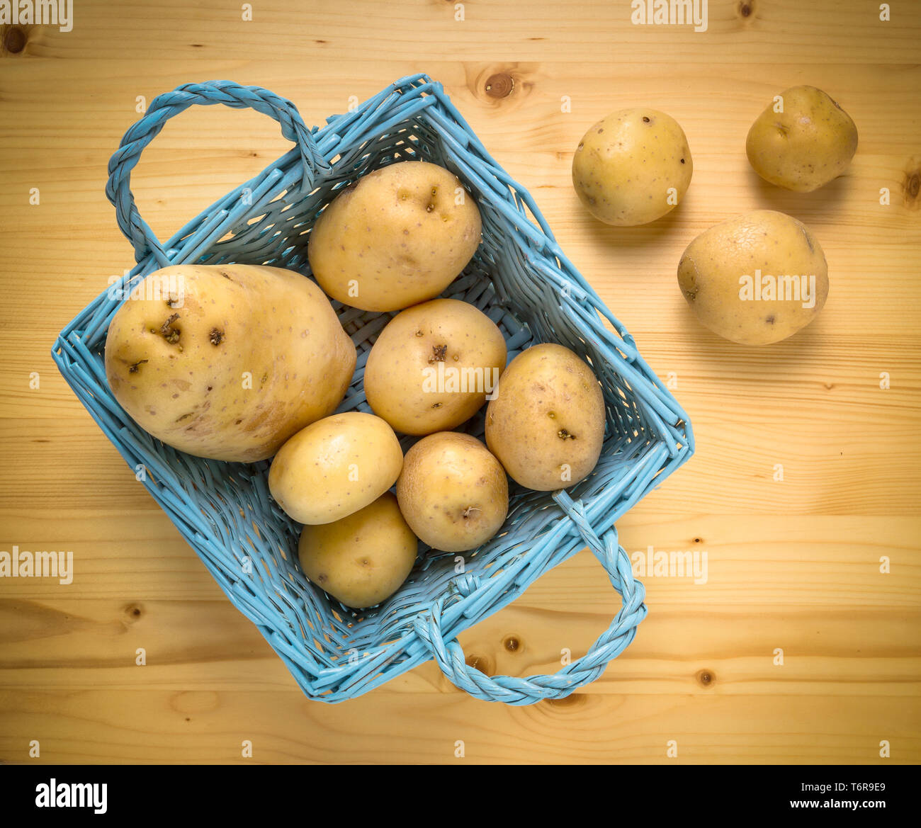 Three seven root hi-res stock photography and images - Alamy