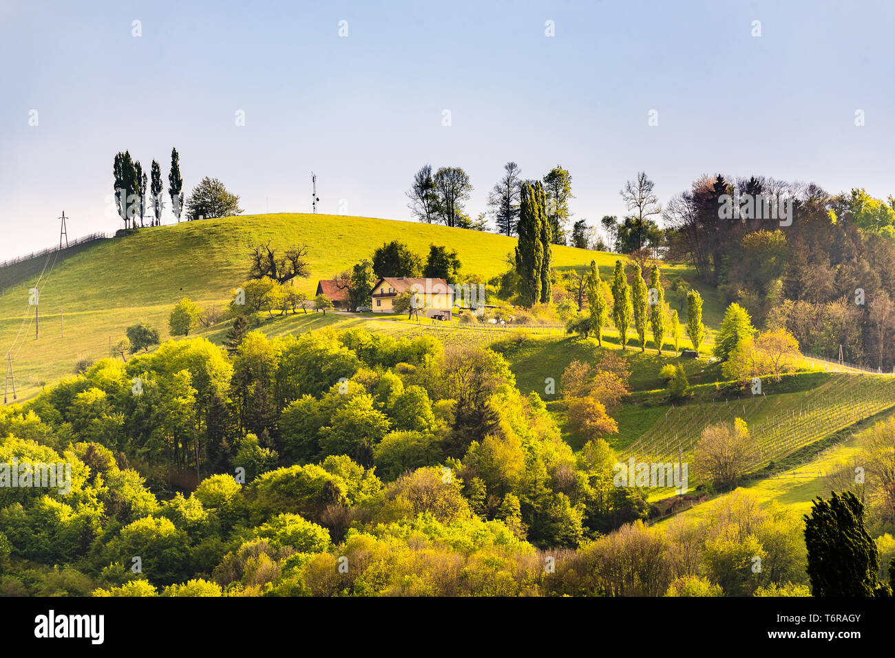 Sulztal, Styria, Austria. Vineyards Sulztal famous destination wine ...