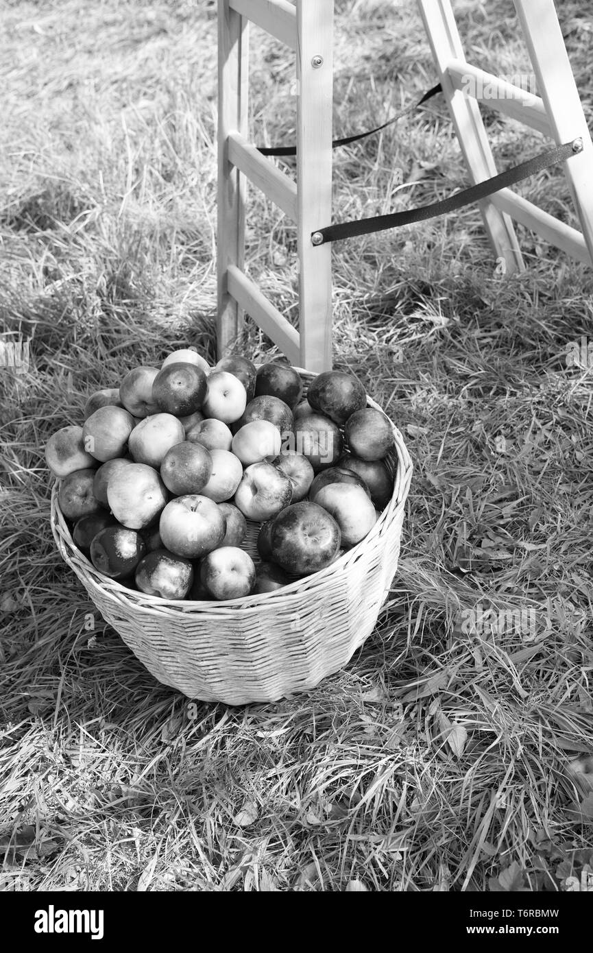 Natural organic fruits juice Black and White Stock Photos & Images - Alamy