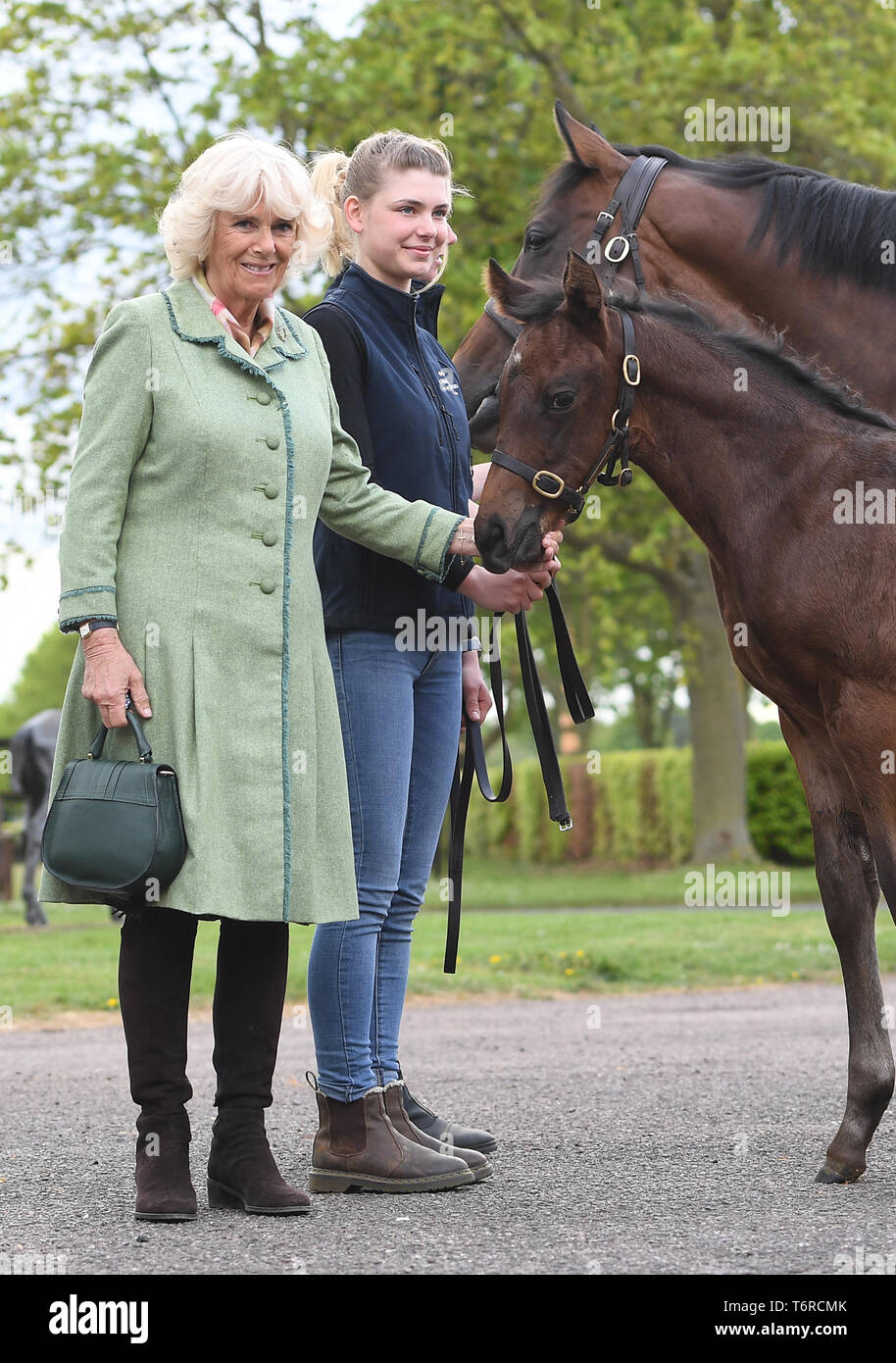 The Duchess of Cornwall with a mare named Royal Rascal and her six week ...