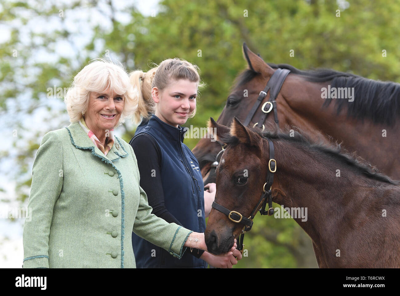 The Duchess of Cornwall with a mare named Royal Rascal and her six week ...