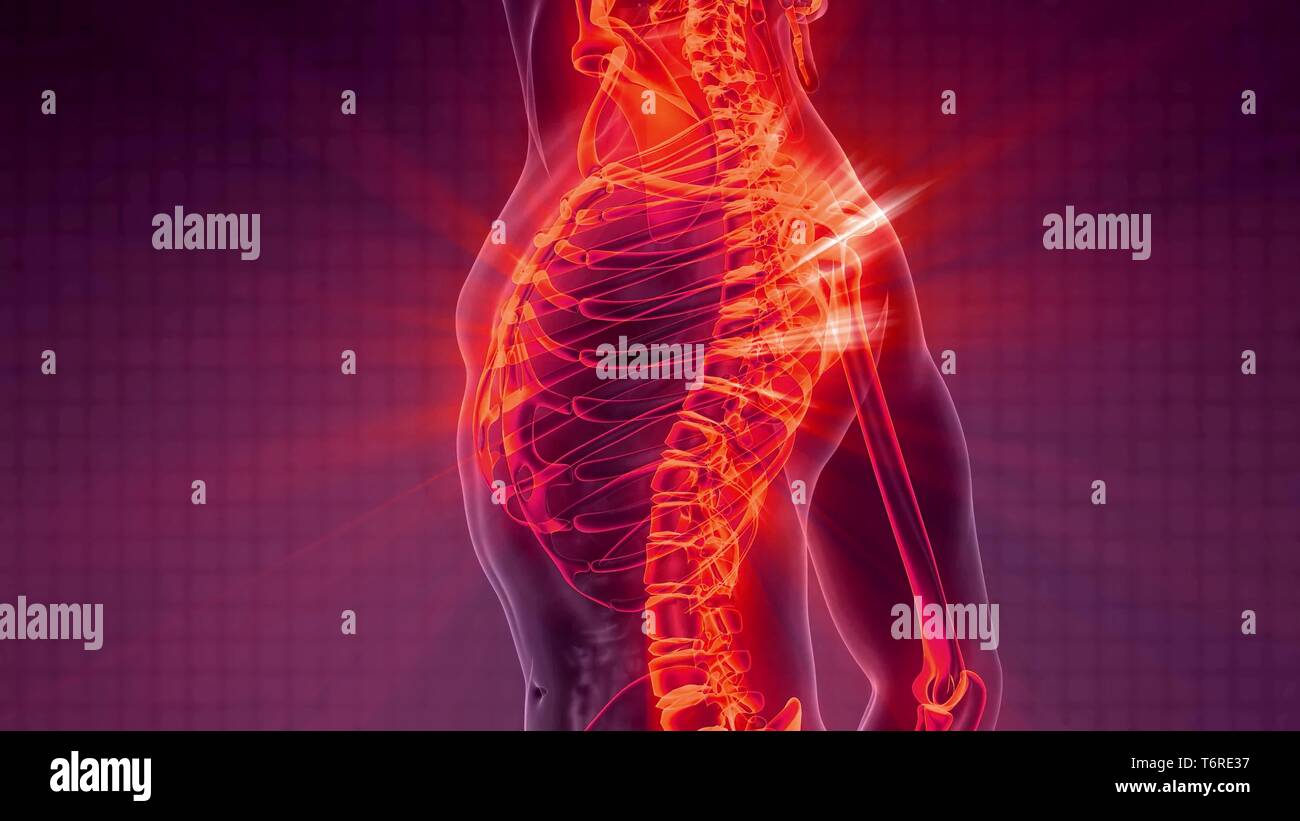 Human Body with Visible Skeletal Bones Stock Photo - Alamy