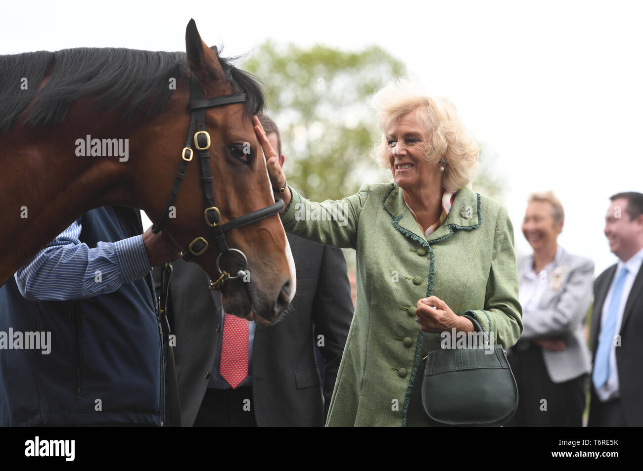 The Duchess of Cornwall pats a stallion named Rajasinghe during a visit ...