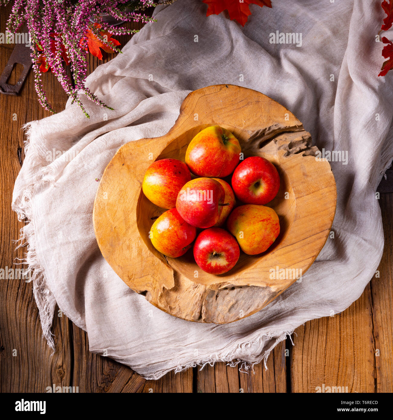 Malus sylvestris, the tasty European crab apple Stock Photo - Alamy