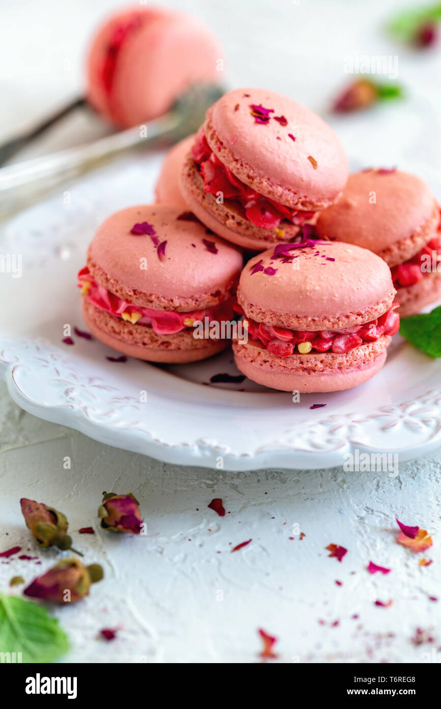 Cream flowers hi-res stock photography and images - Alamy