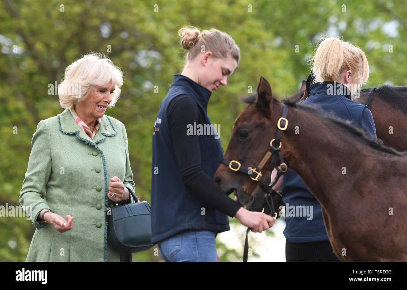 The Duchess of Cornwall with a mare named Royal Rascal and her six week ...