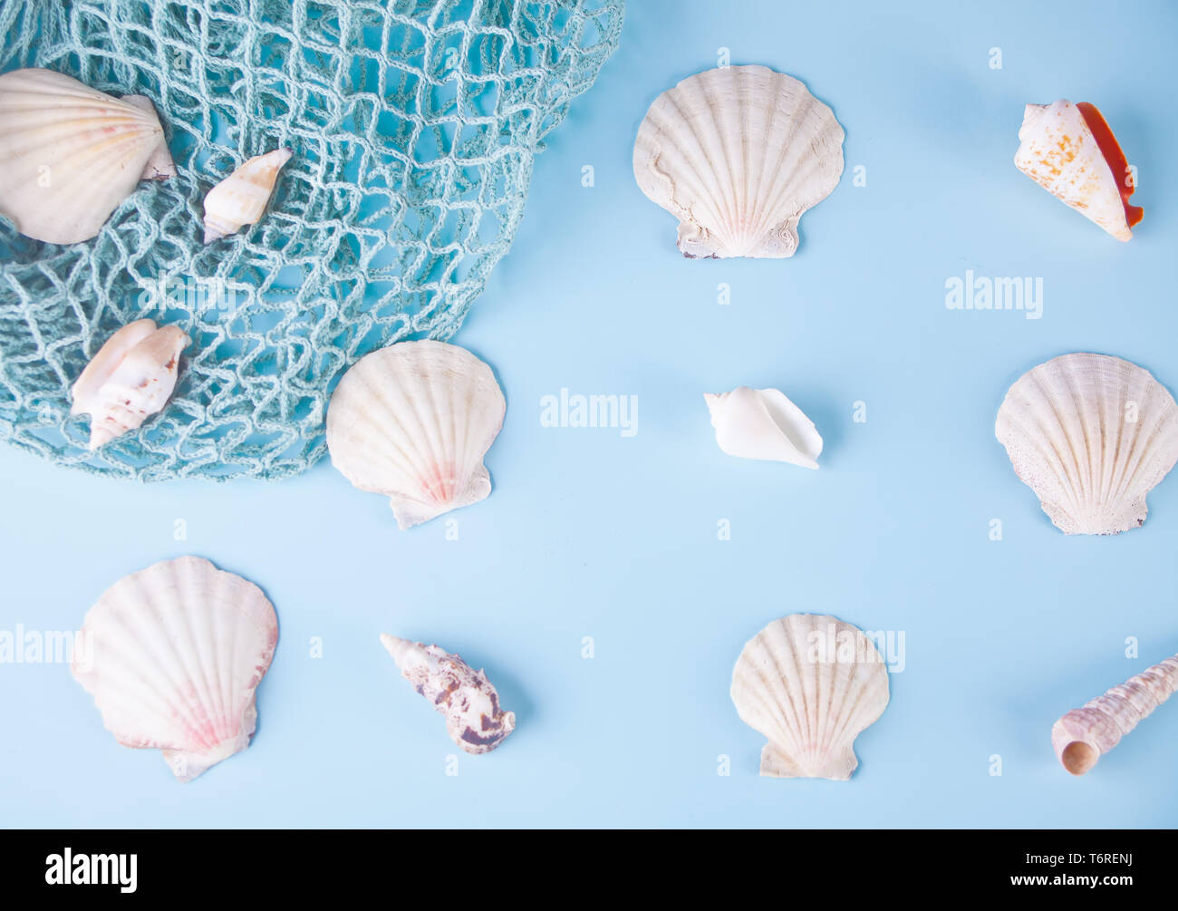 Many different seashells and fishing net on the blue background. Top ...