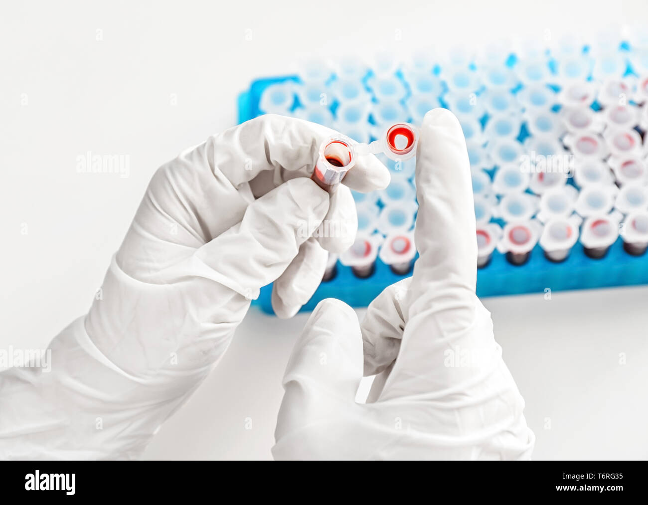 Lab worker holding test hi-res stock photography and images - Alamy