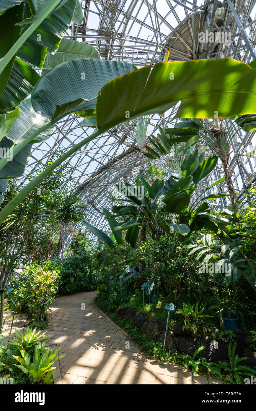 Yumenoshima Tropical Greenhouse Dome, Yumenoshima Park, Koto-Ku, Tokyo ...