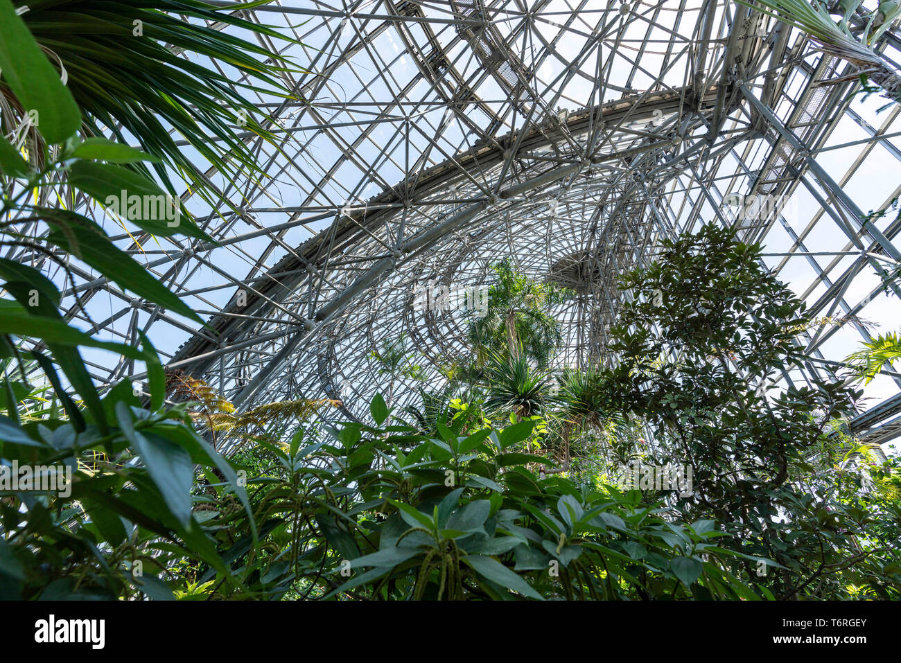 Yumenoshima Tropical Greenhouse Dome, Yumenoshima Park, Koto-Ku, Tokyo ...