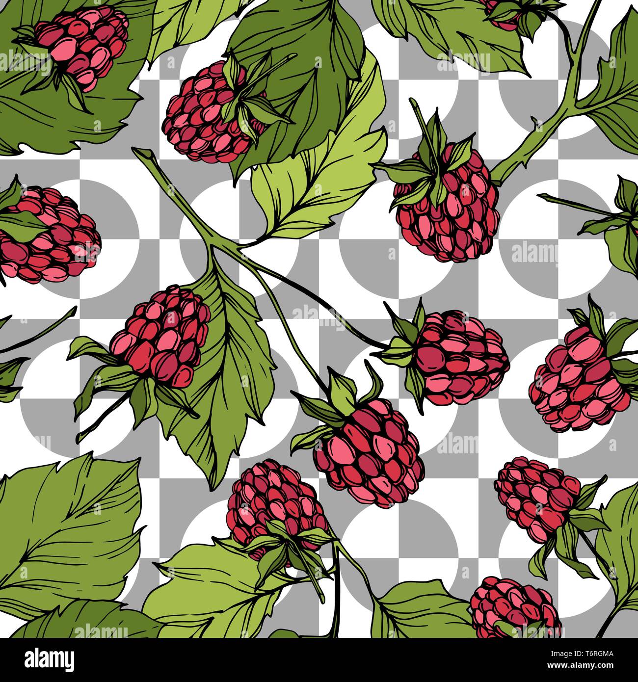 Vector Raspberry healthy food isolated. Red and green engraved ink art ...