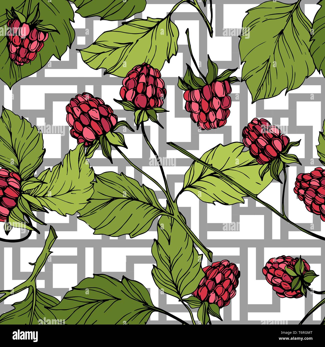 Vector Raspberry healthy food isolated. Red and green engraved ink art ...