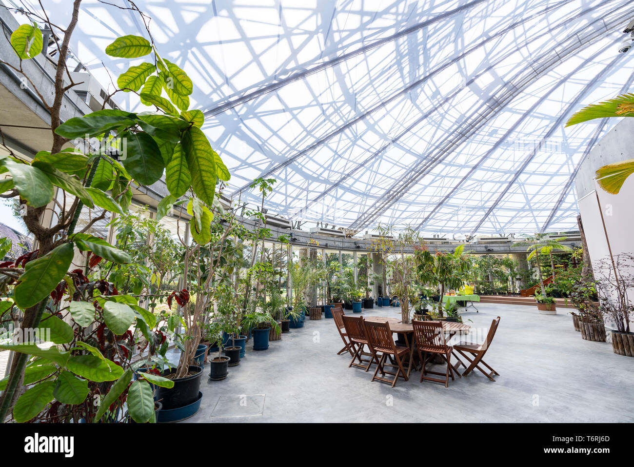 Yumenoshima Tropical Greenhouse Dome, Yumenoshima Park, Koto-Ku, Tokyo ...