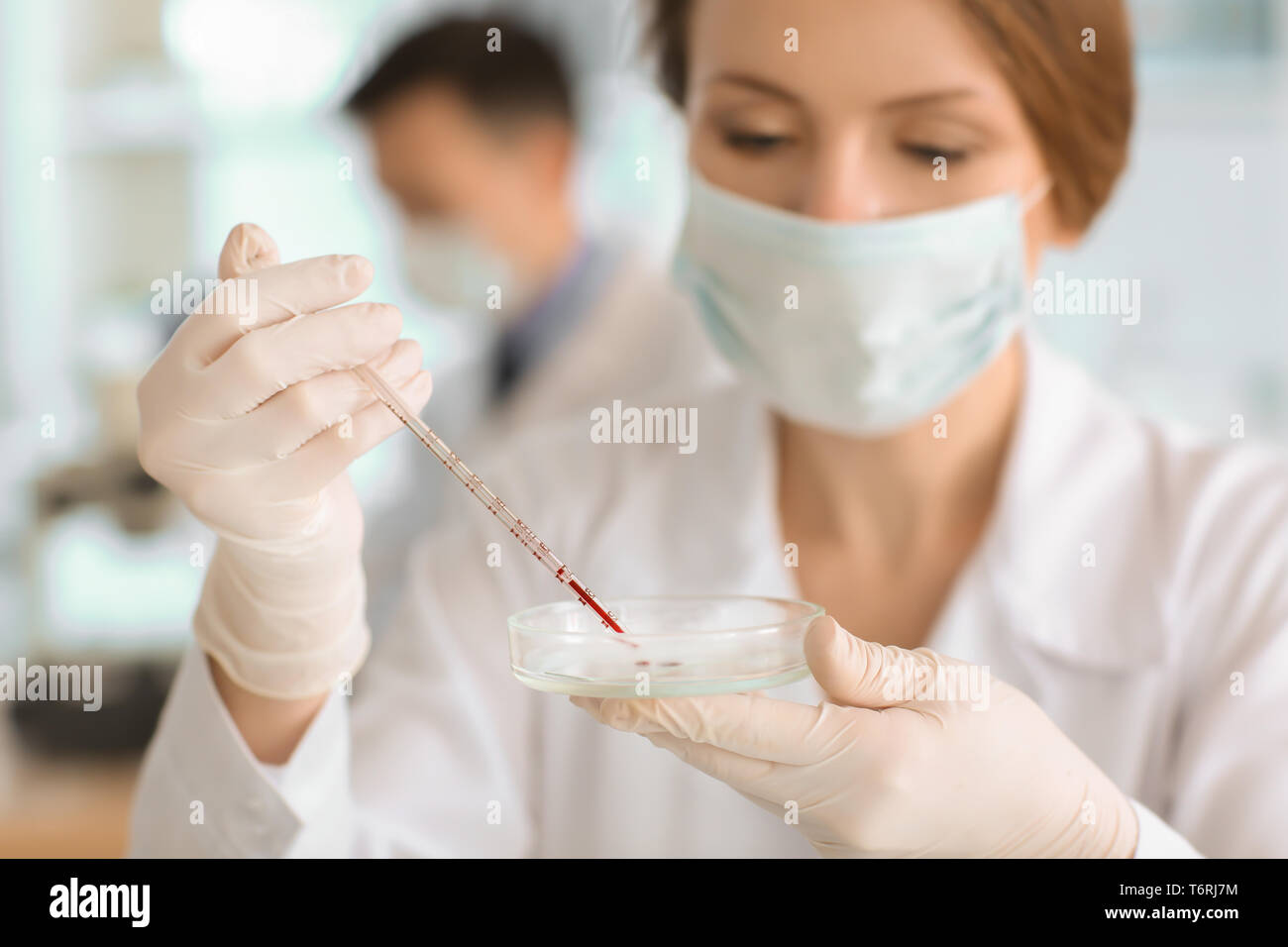 Scientist working with blood sample in laboratory Stock Photo - Alamy