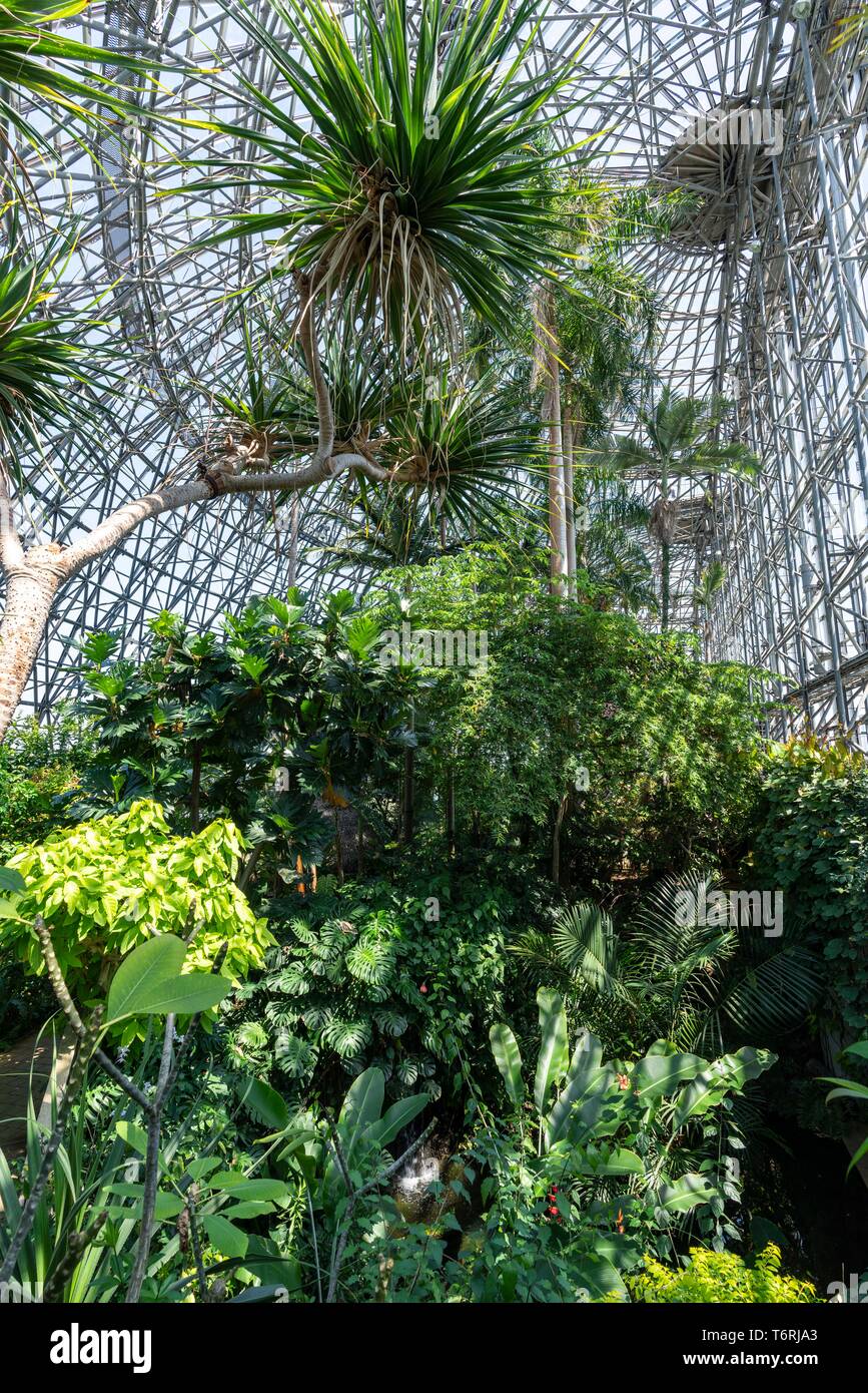 Yumenoshima Tropical Greenhouse Dome, Yumenoshima Park, Koto-Ku, Tokyo ...