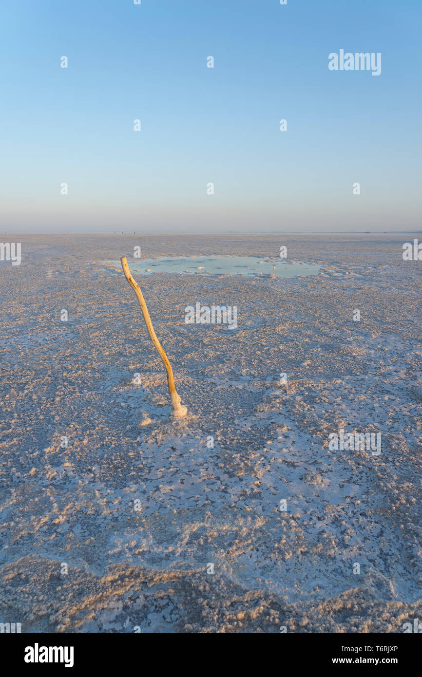 Bubbling pond in the salt plains of Asale Lake in the Danakil ...