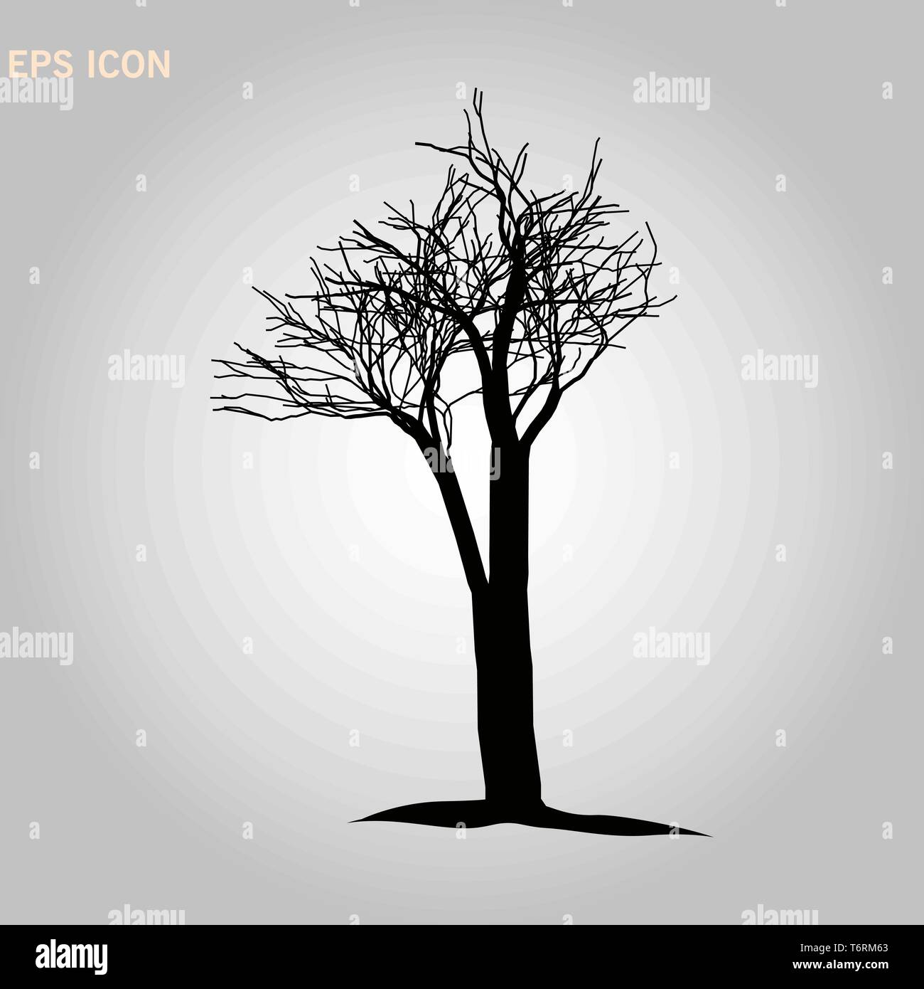 Norway maple architectonics. The structure of the tree branches and ...