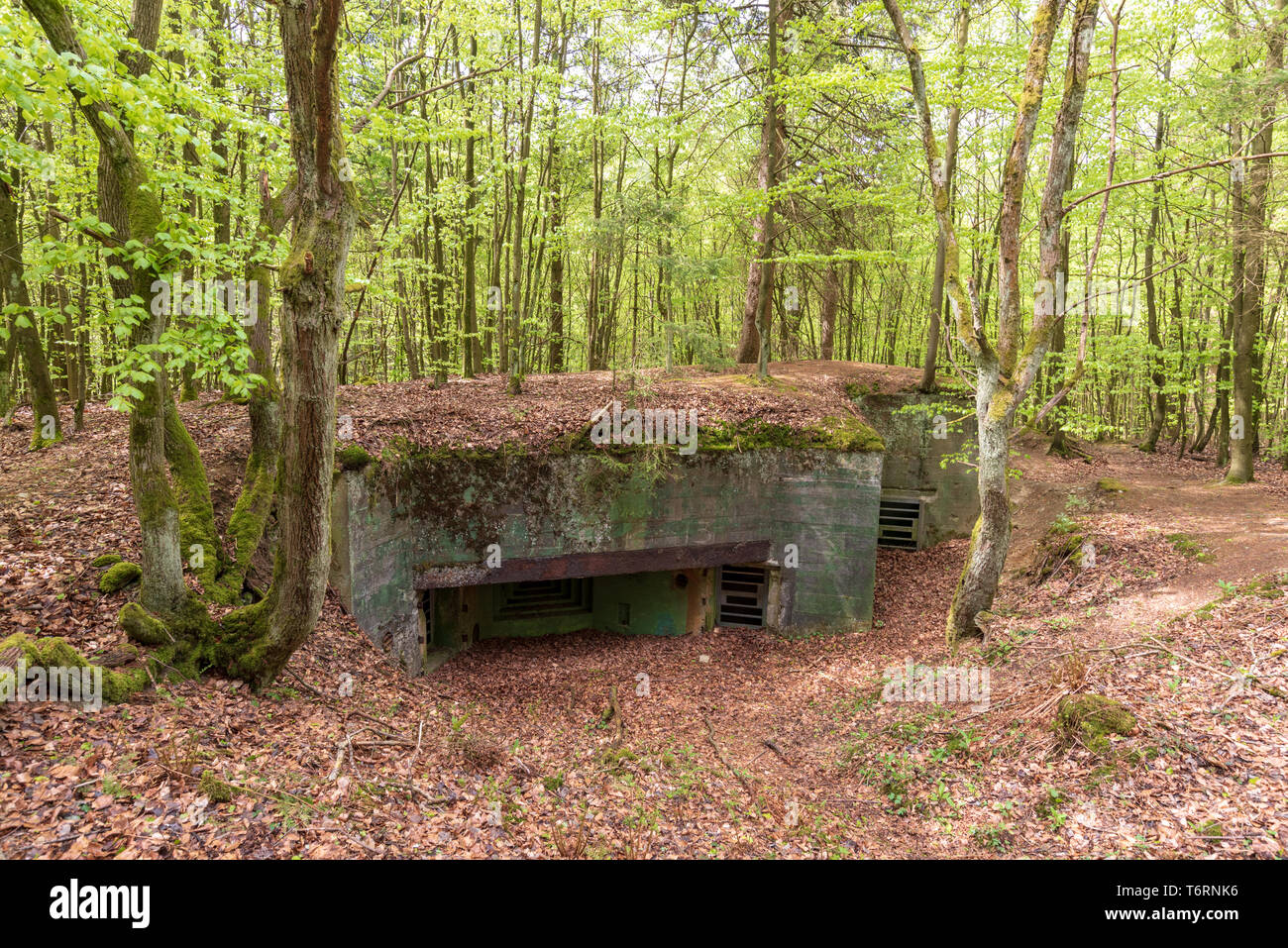 Intact Siegfried Line bunker from the Second World War, Eifel region ...