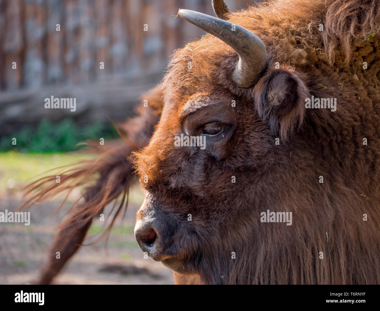 Sad lonely poland hi-res stock photography and images - Alamy