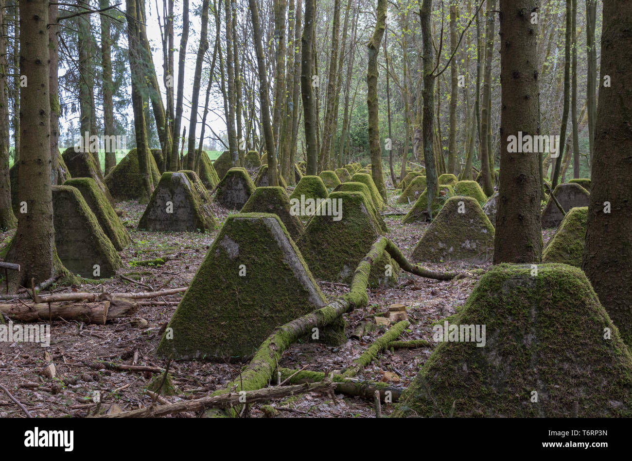 Dragon's teeth tank obstacles in the Siegfried Line at Hollerath ...