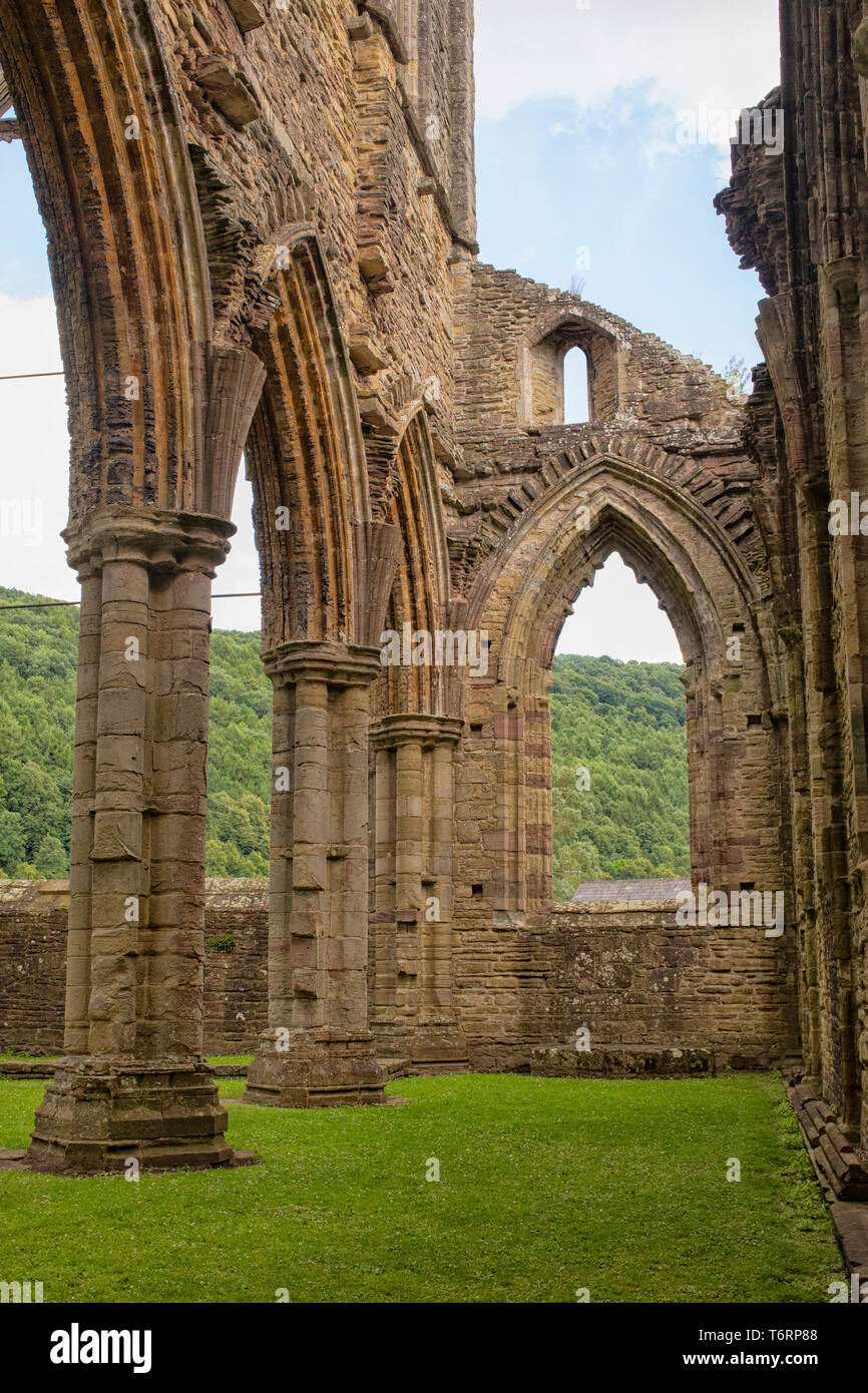 Tintern Abbey in the Wye valley in Wales, UK Stock Photo - Alamy