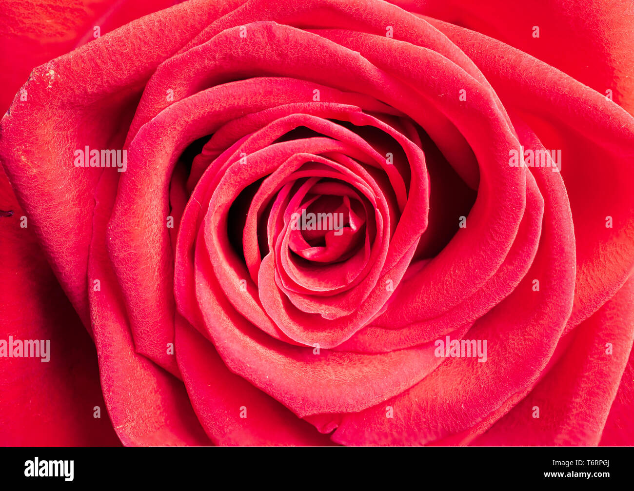 Horizontal crop hi-res stock photography and images - Alamy