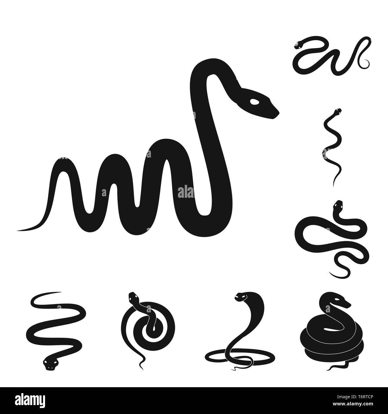 snake,viper,amphibian,cobra,python,tail,anaconda,white,jungle,spiral ...
