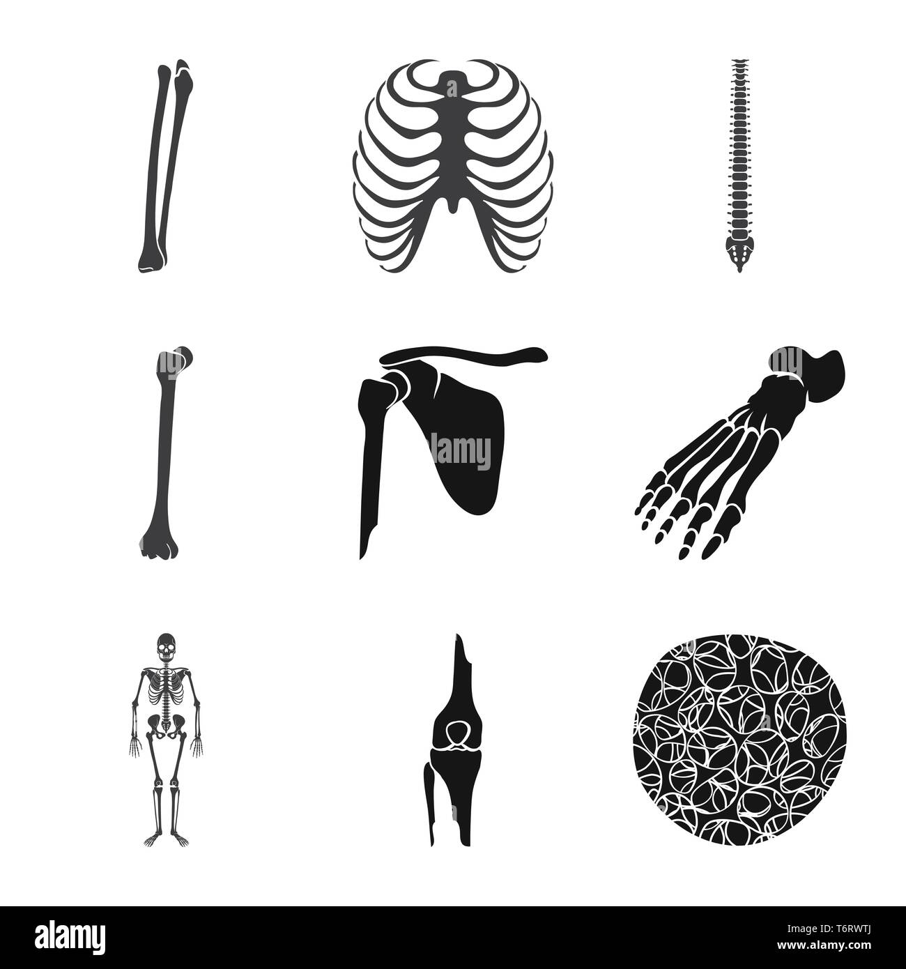 Hip and ankle xray Stock Vector Images - Alamy