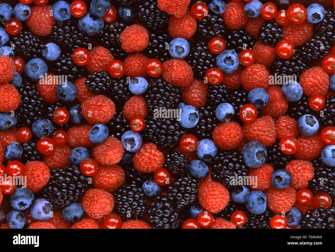 Texture of four different berries in flat lay angle Stock Photo - Alamy