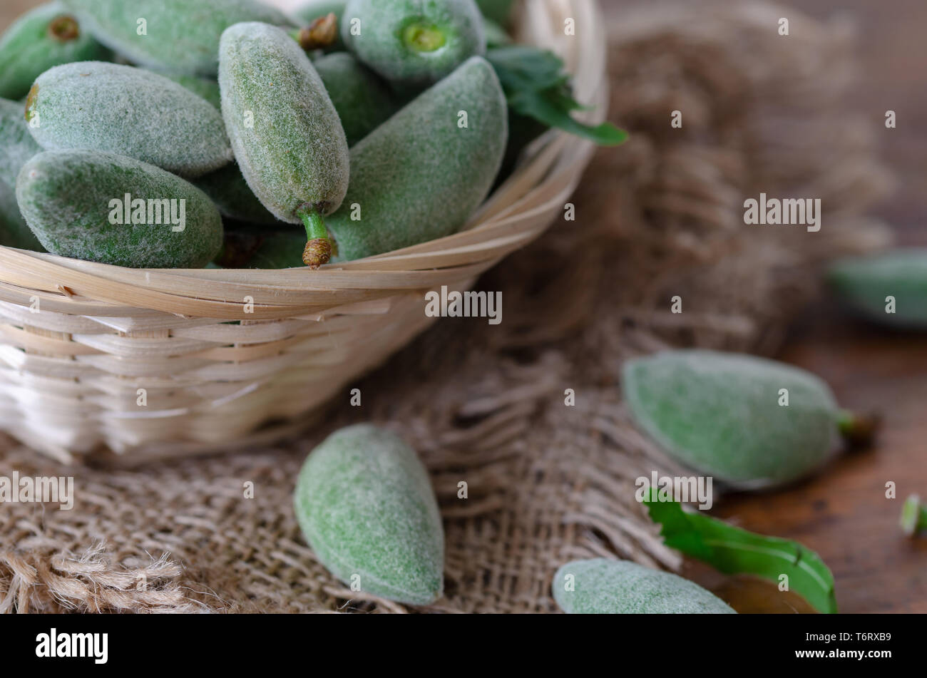 Unripe almonds hi-res stock photography and images - Alamy