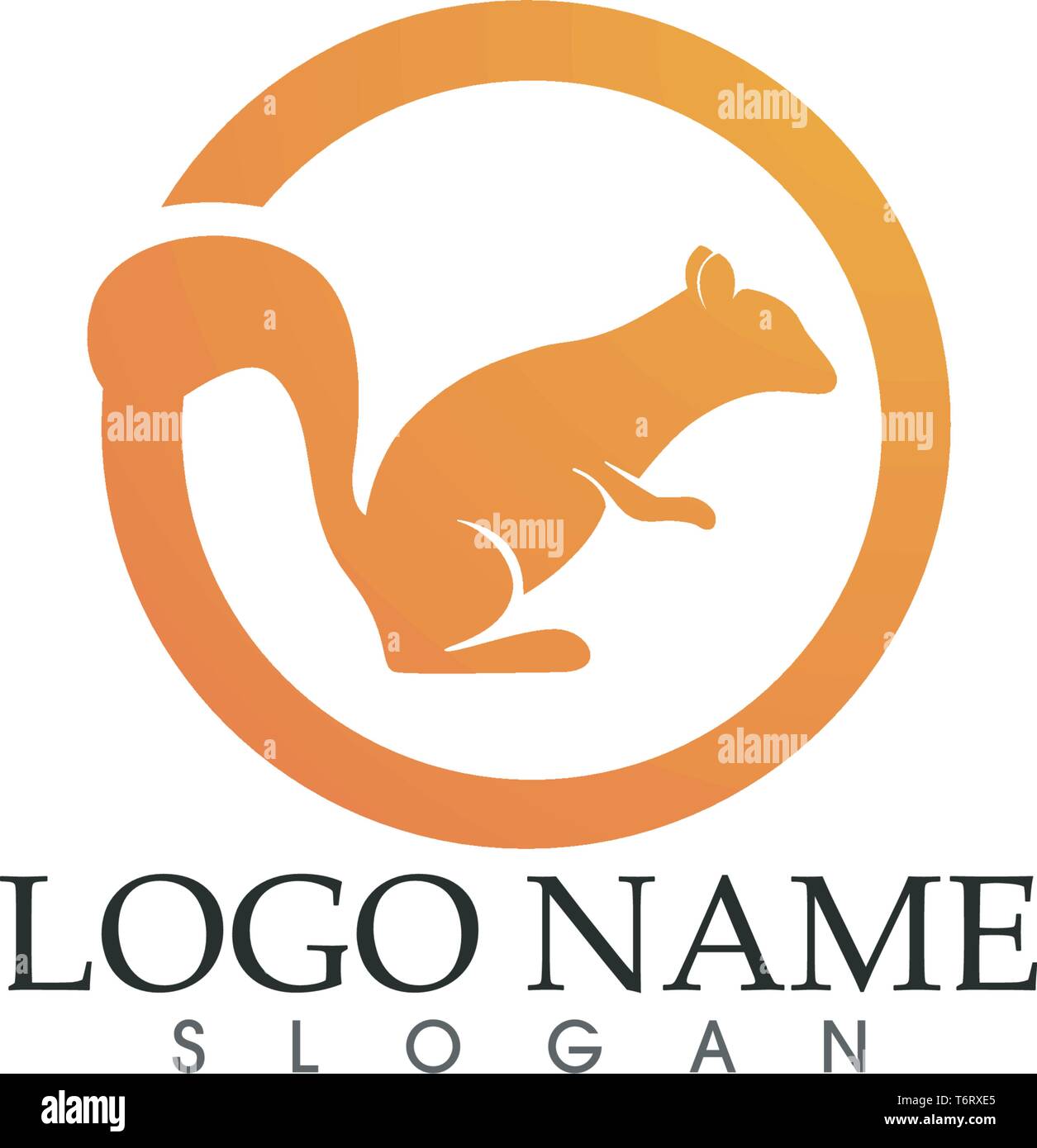 squirrel logo and symbols Stock Vector Image & Art - Alamy