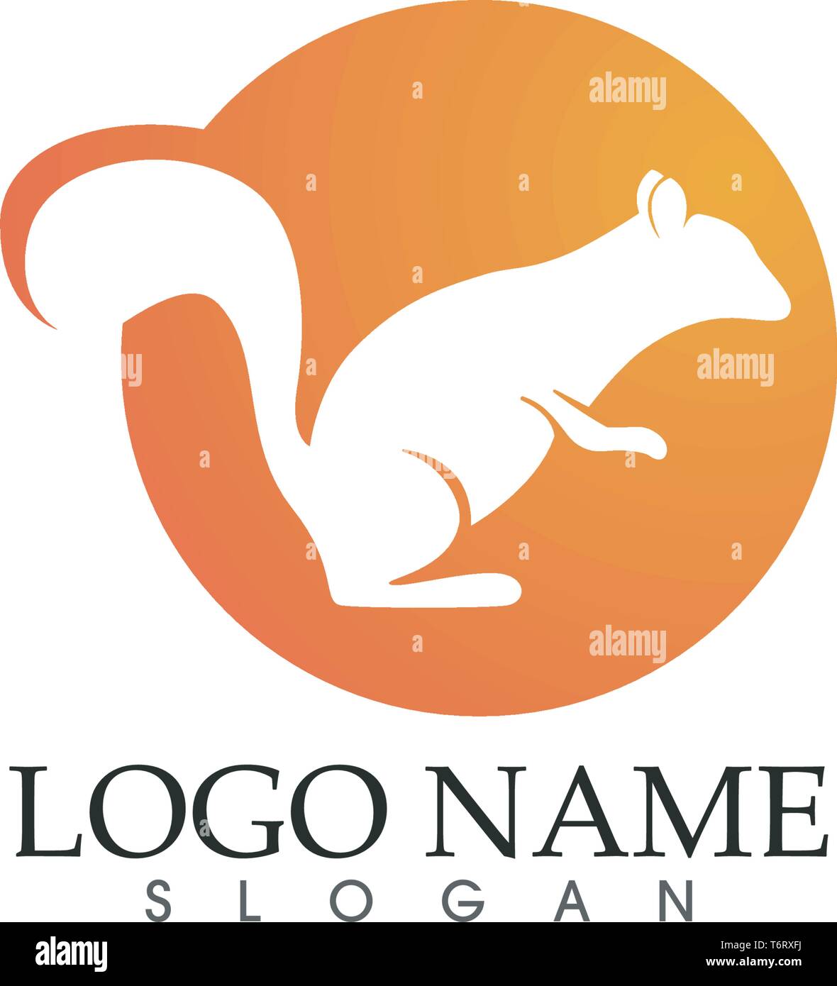 squirrel logo and symbols Stock Vector Image & Art - Alamy