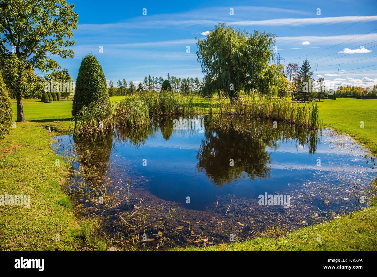 Oval pond hi-res stock photography and images - Alamy